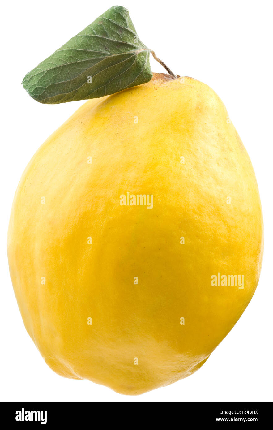 Golden fruit hi-res stock photography and images - Alamy