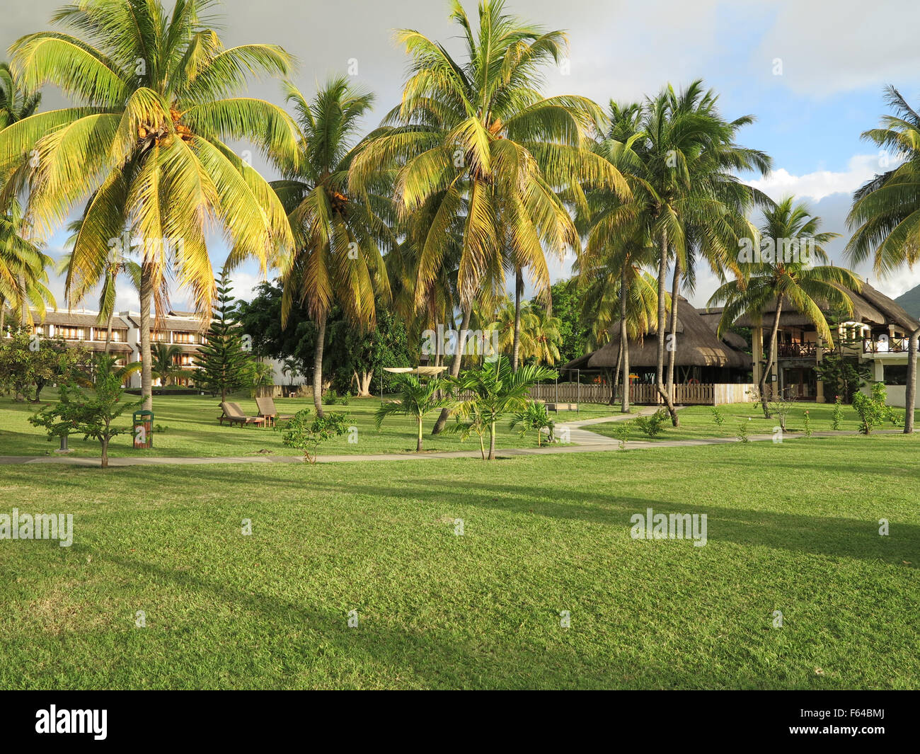 coconut trees on green grass Stock Photo - Alamy