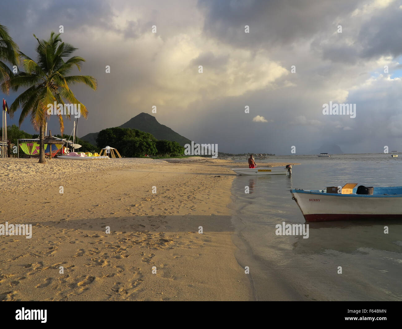 Seaside palm tree hi-res stock photography and images - Alamy
