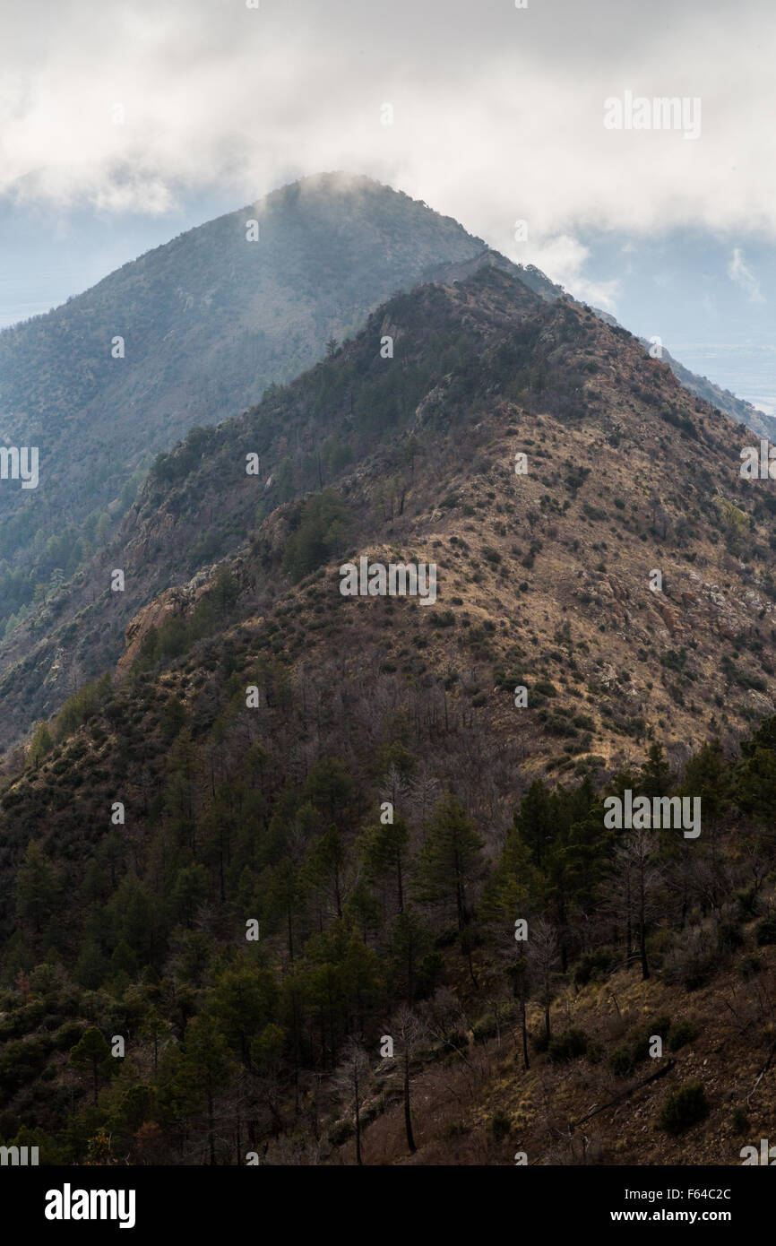 Rain and sleet falling above the Huachuca Mountains, Miller Peak ...