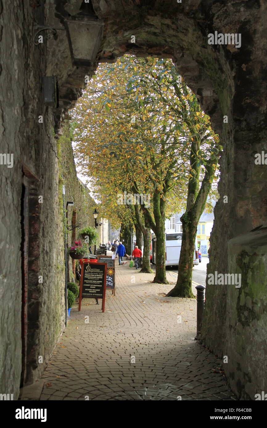 Tenby town walls hi-res stock photography and images - Alamy