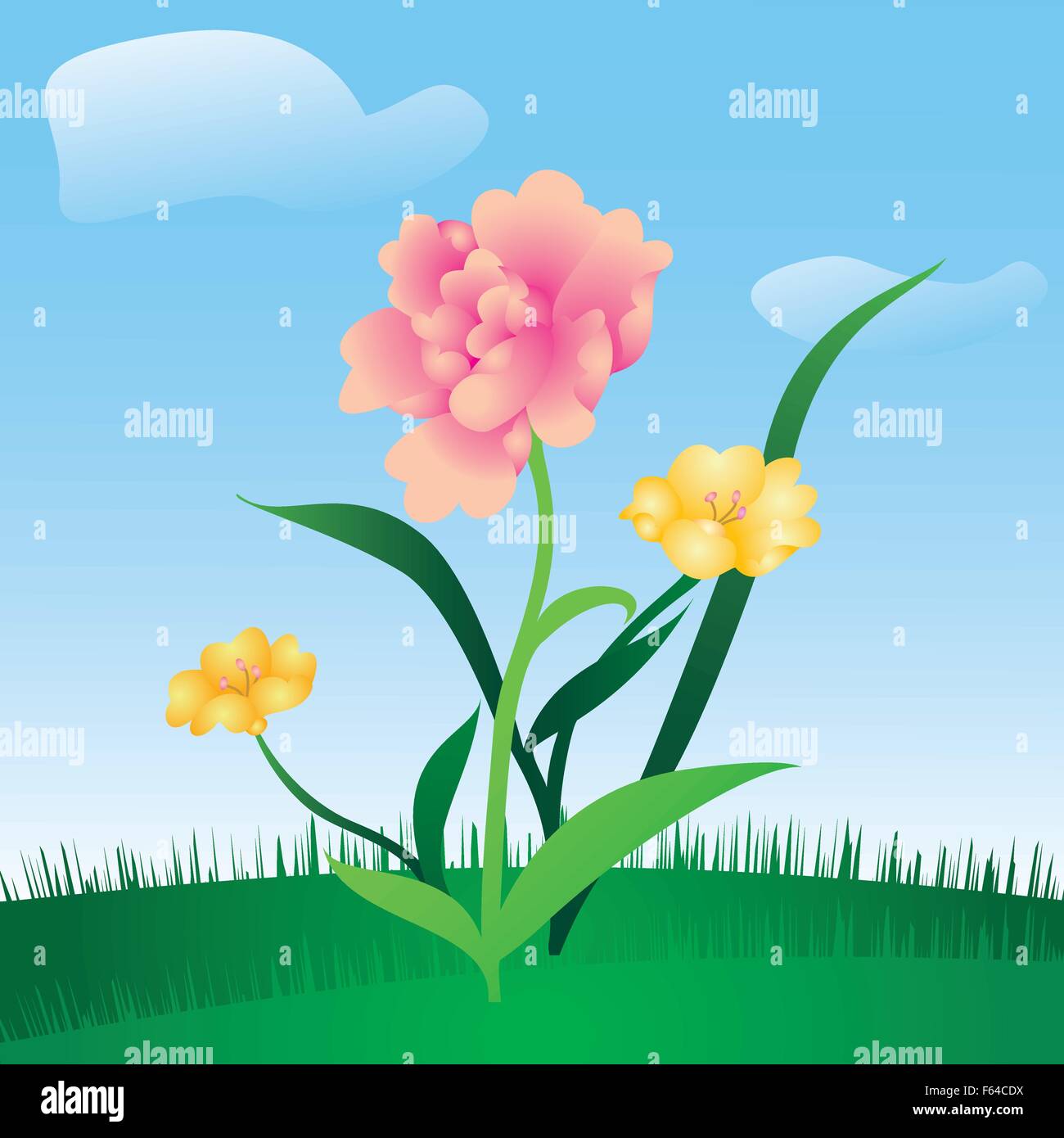 Meadow in bloom yellow flowers Stock Vector Images - Alamy