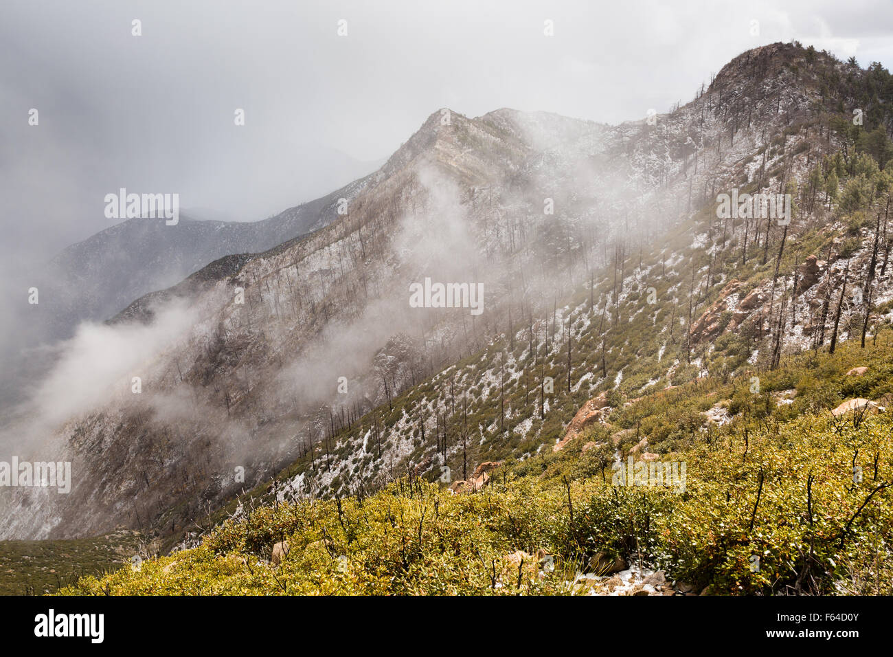 Sleet falling hi-res stock photography and images - Alamy