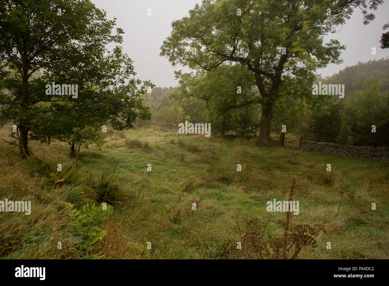 The ruins and environs of Hollinshead Hall, Tockholes, Lancashire Stock ...