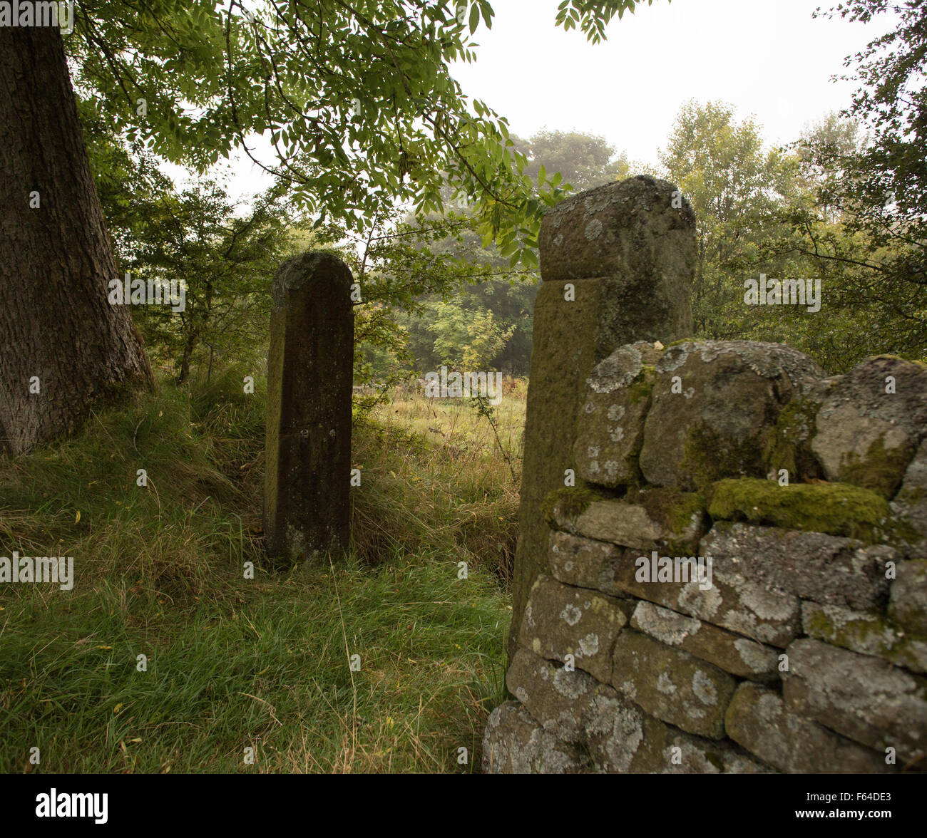 The ruins and environs of Hollinshead Hall, Tockholes, Lancashire Stock ...