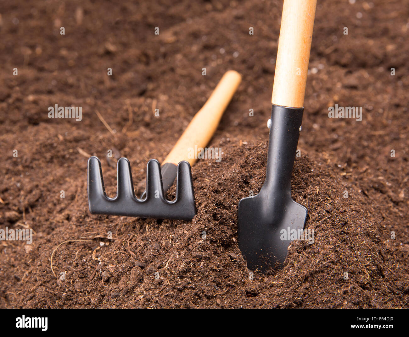 Garden Tools on Soil with Copy Space Stock Photo - Alamy