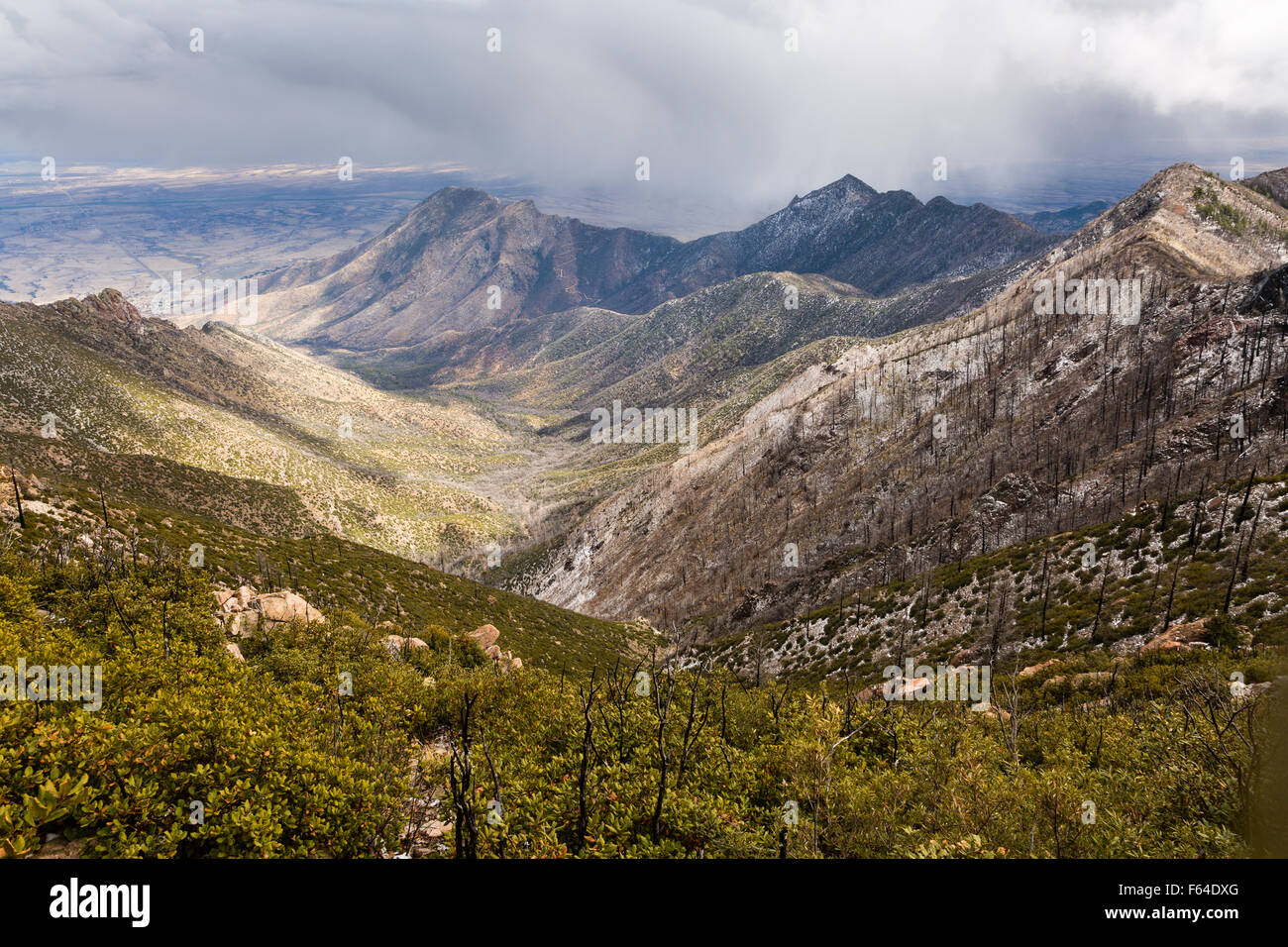 Rain and sleet falling above the Huachuca Mountains, Miller Peak ...