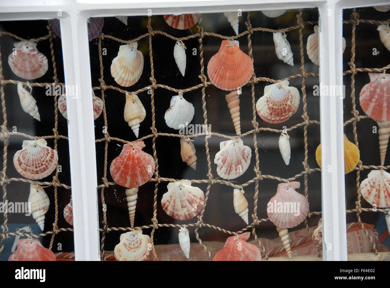 A decorative curtain made of shells in a St Mawes cottage window ...