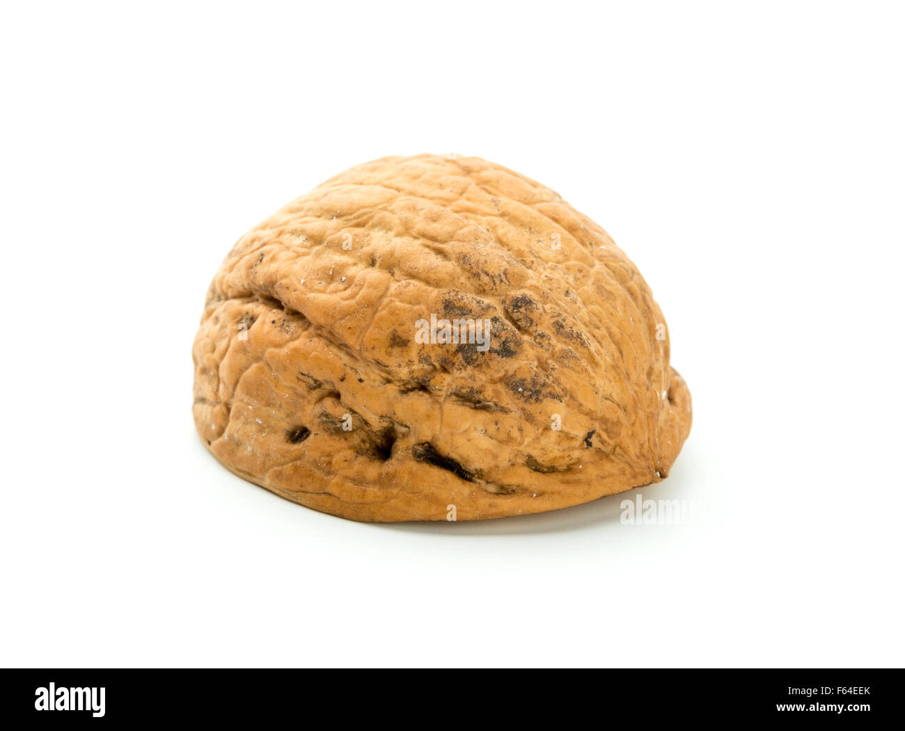 Walnut shell hi-res stock photography and images - Alamy