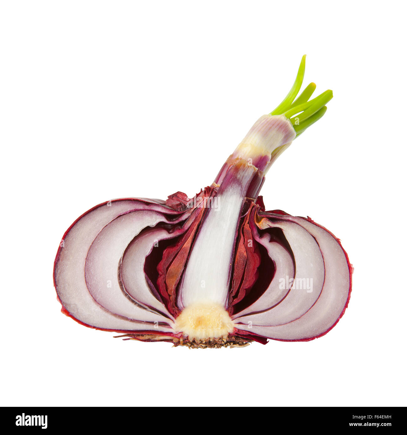 Cross section of red onion Cut Out Stock Images & Pictures - Alamy
