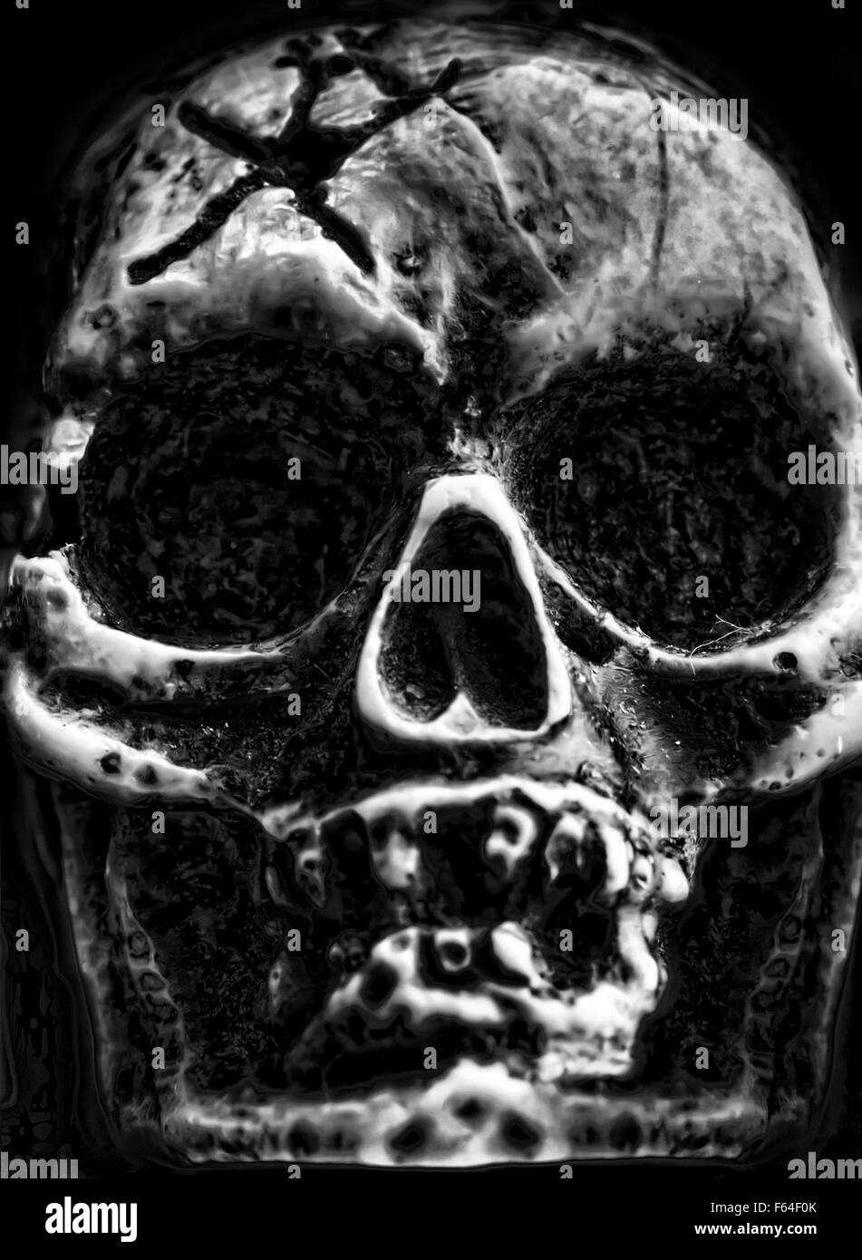 Skull in Black and White Stock Photos & Images - Alamy