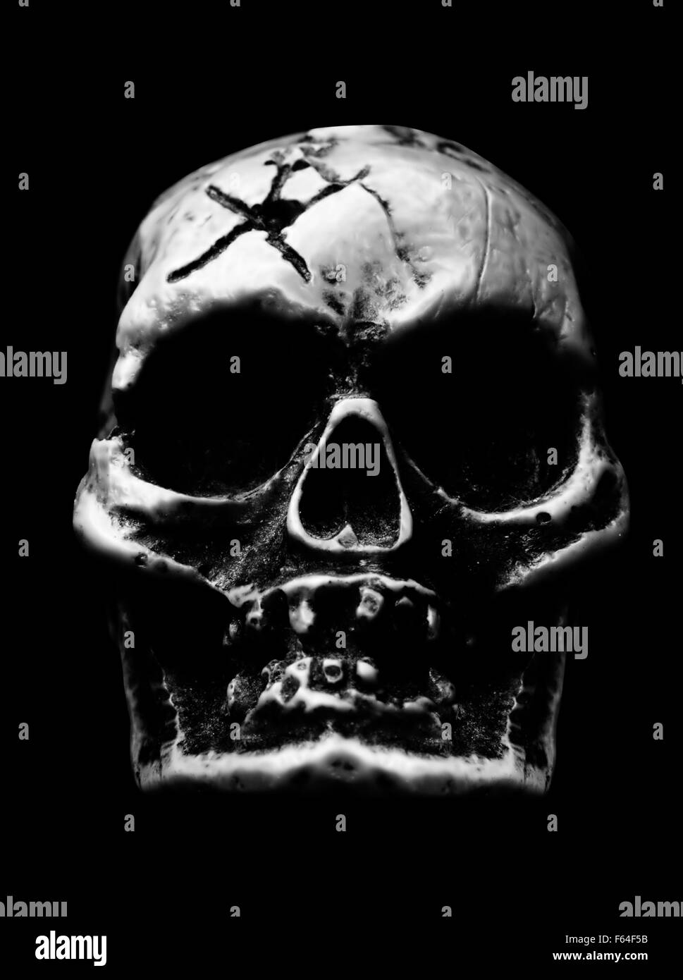 Skull in Black and White Stock Photos & Images - Alamy