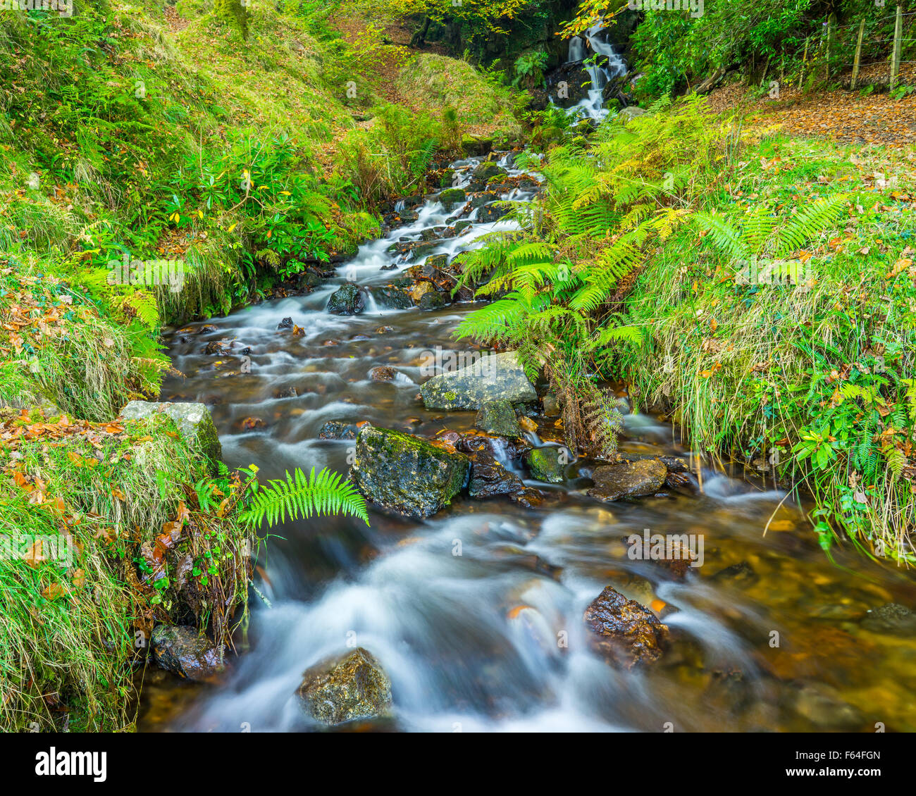 Waterfall which flows in to Burrator Reservoir on Dartmoor National ...