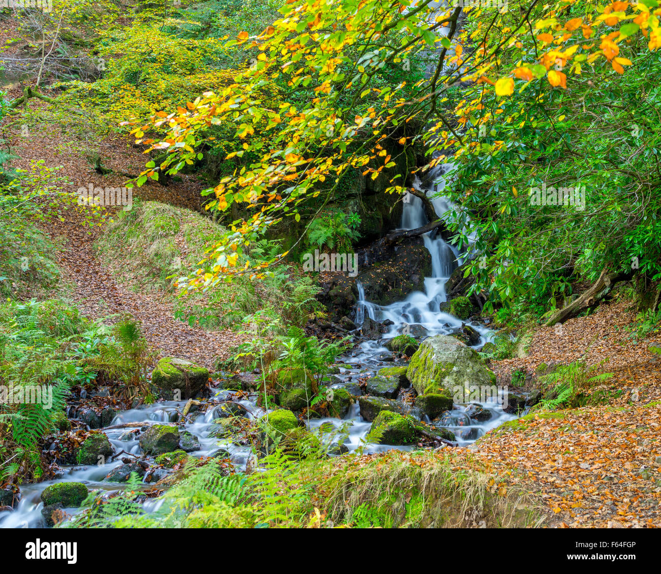 Waterfall which flows in to Burrator Reservoir on Dartmoor National ...