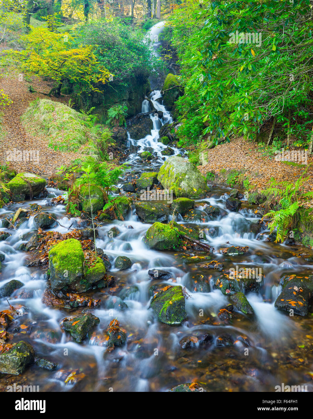 Waterfall which flows in to Burrator Reservoir on Dartmoor National ...