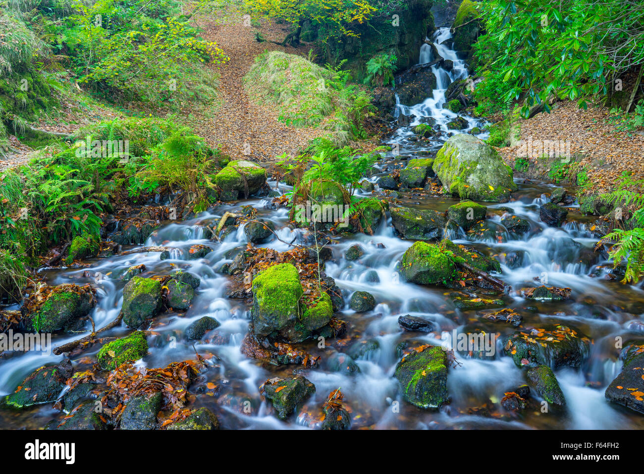 Waterfall which flows in to Burrator Reservoir on Dartmoor National ...