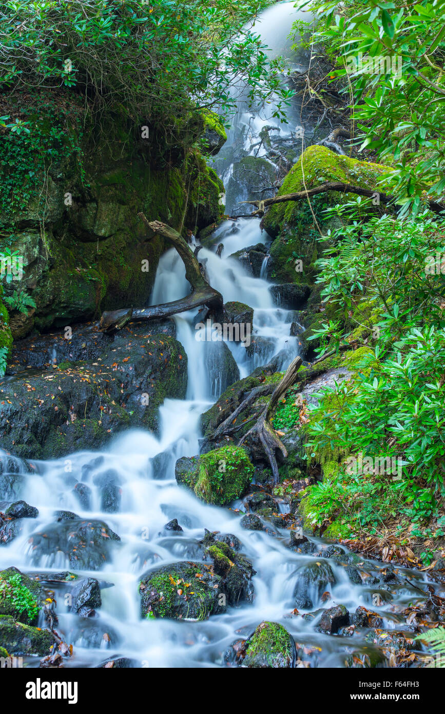 Waterfall which flows in to Burrator Reservoir on Dartmoor National ...