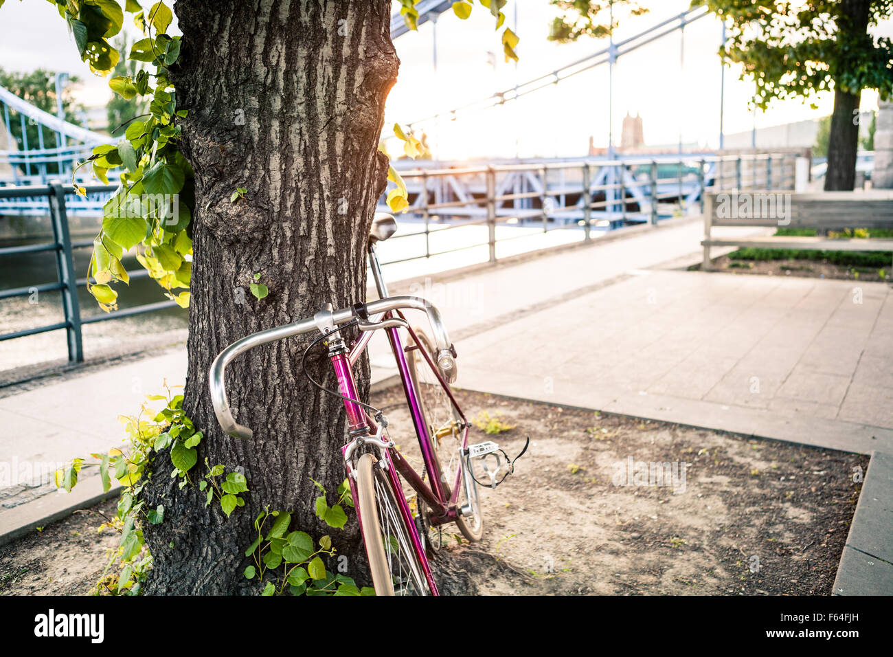 Fixed gear bike. Road bicycle on city street. Green park and trees ...