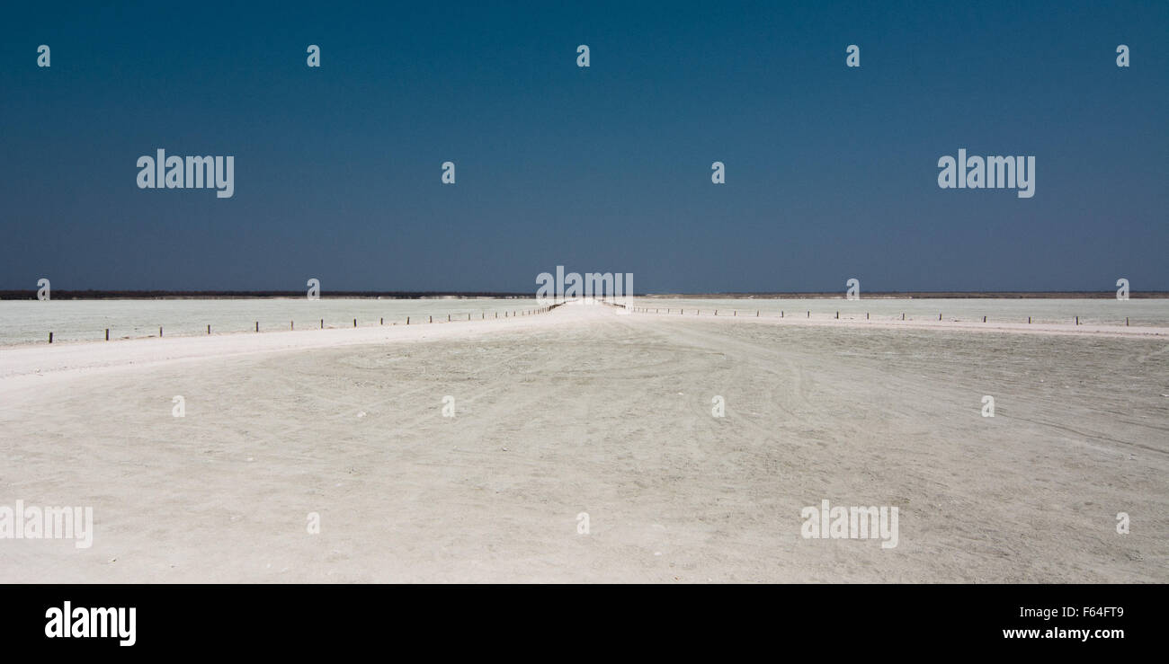 See through pan hi-res stock photography and images - Alamy
