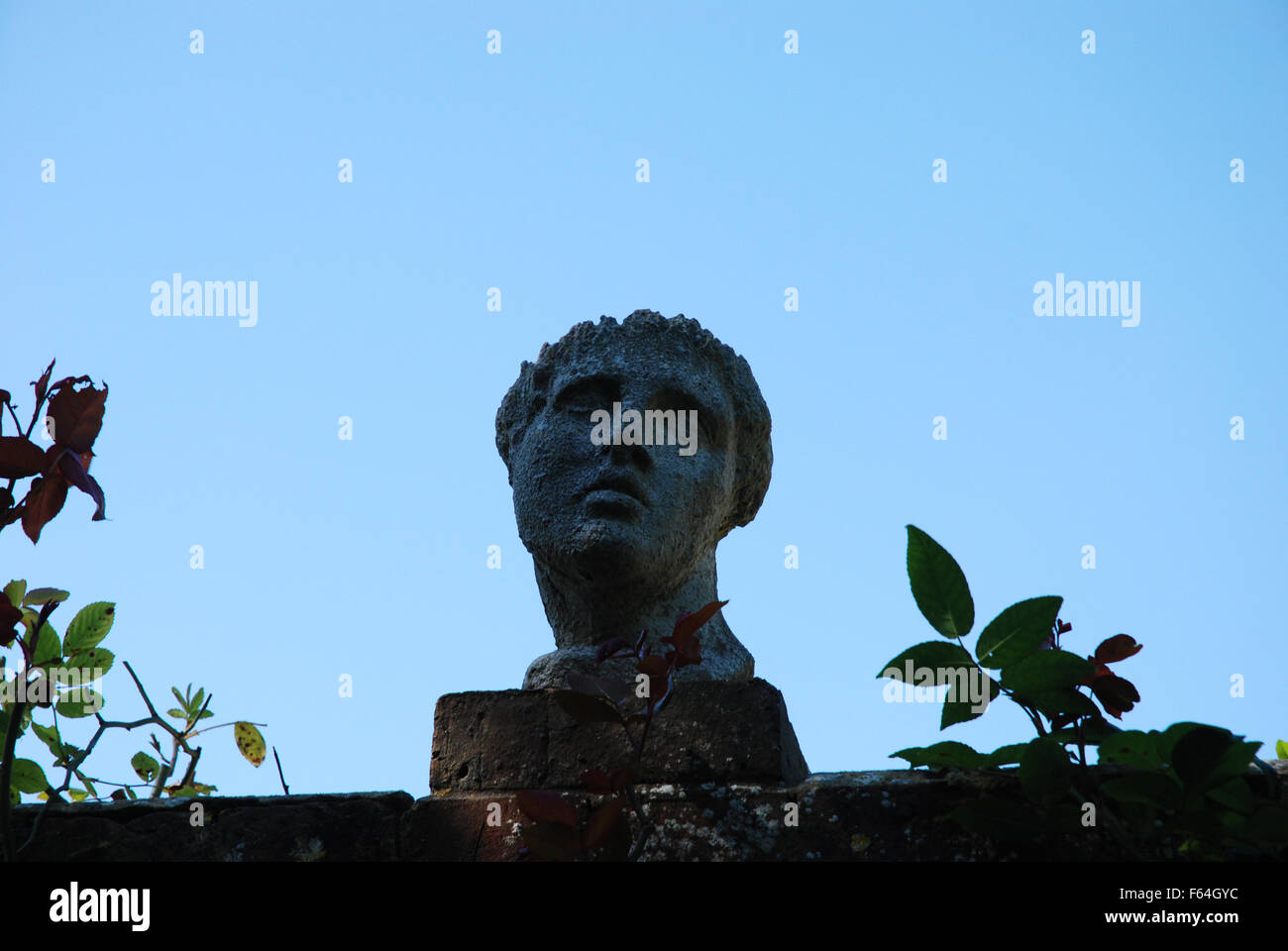 Farmhouse and garden hi-res stock photography and images - Alamy