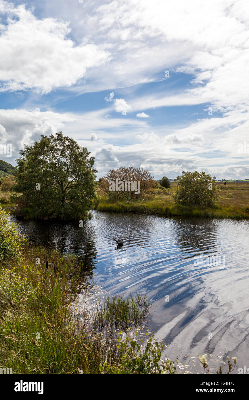 Cors Caron Nature reserve near Tregaron ceredigion Wales UK Stock Photo ...