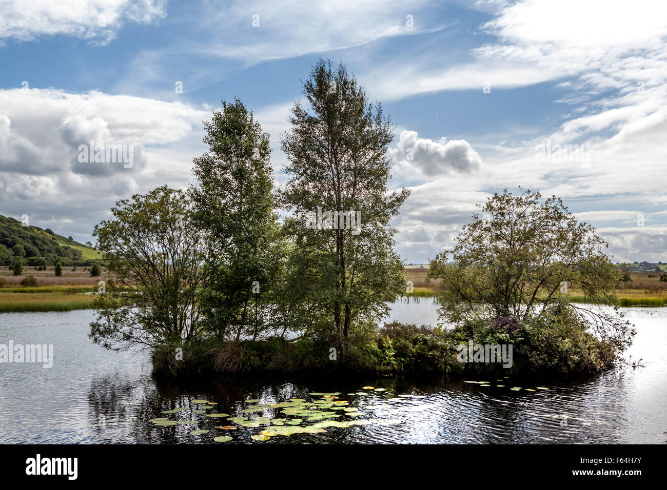 Cors Caron Nature reserve near Tregaron ceredigion Wales UK Stock Photo ...