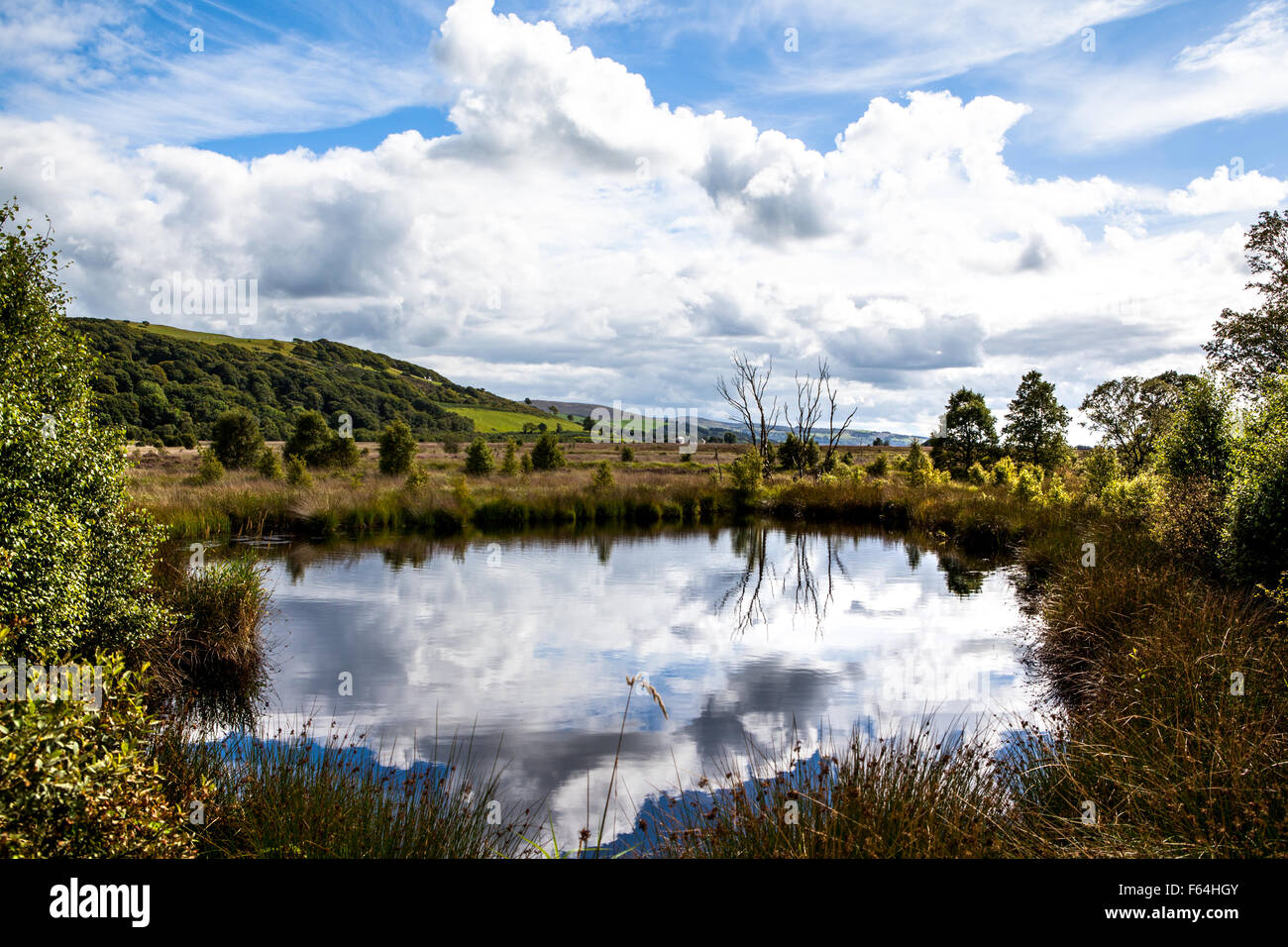 Cors Caron Nature reserve near Tregaron ceredigion Wales UK Stock Photo ...