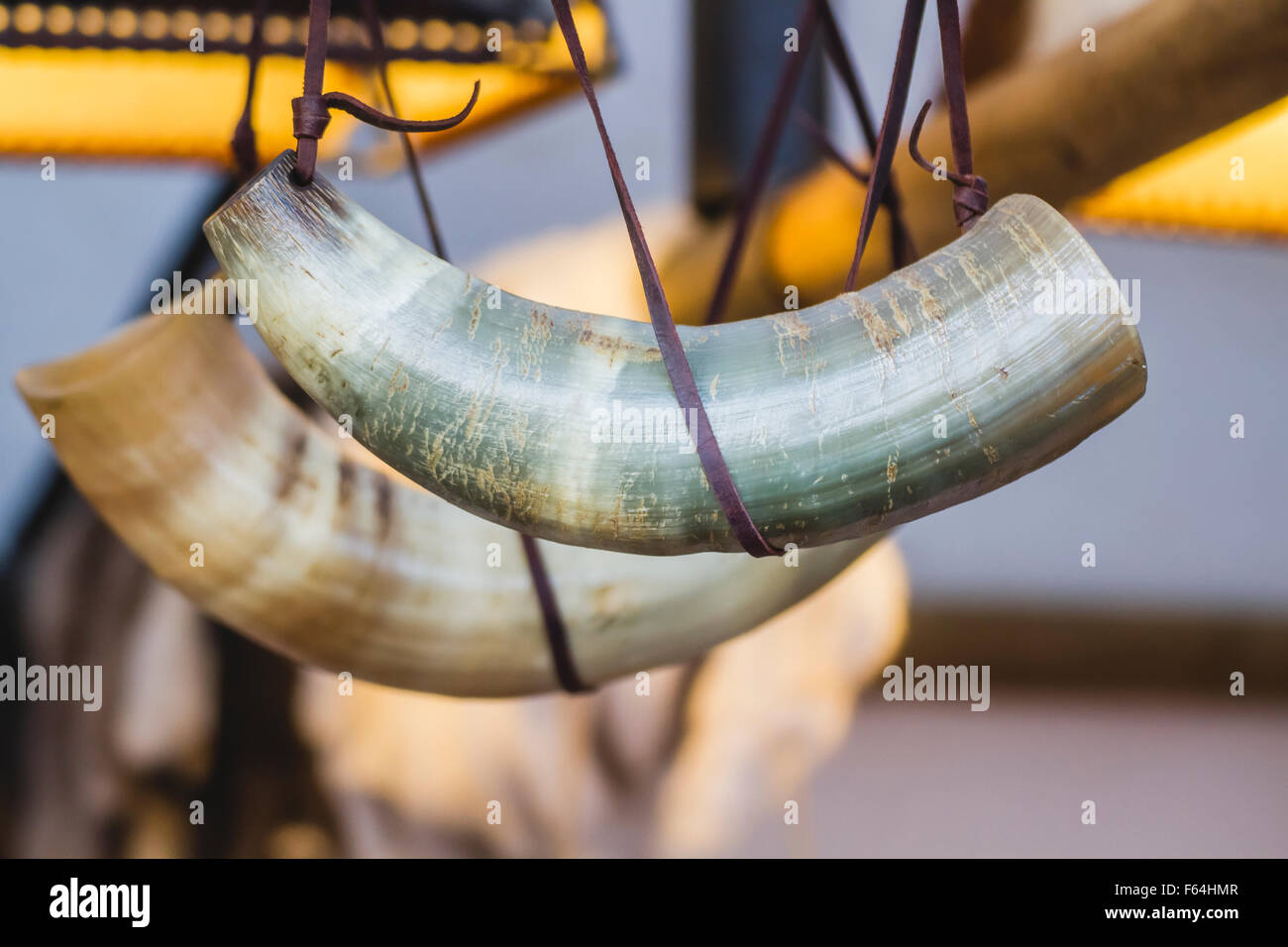 old hunting horns, used to call Stock Photo - Alamy