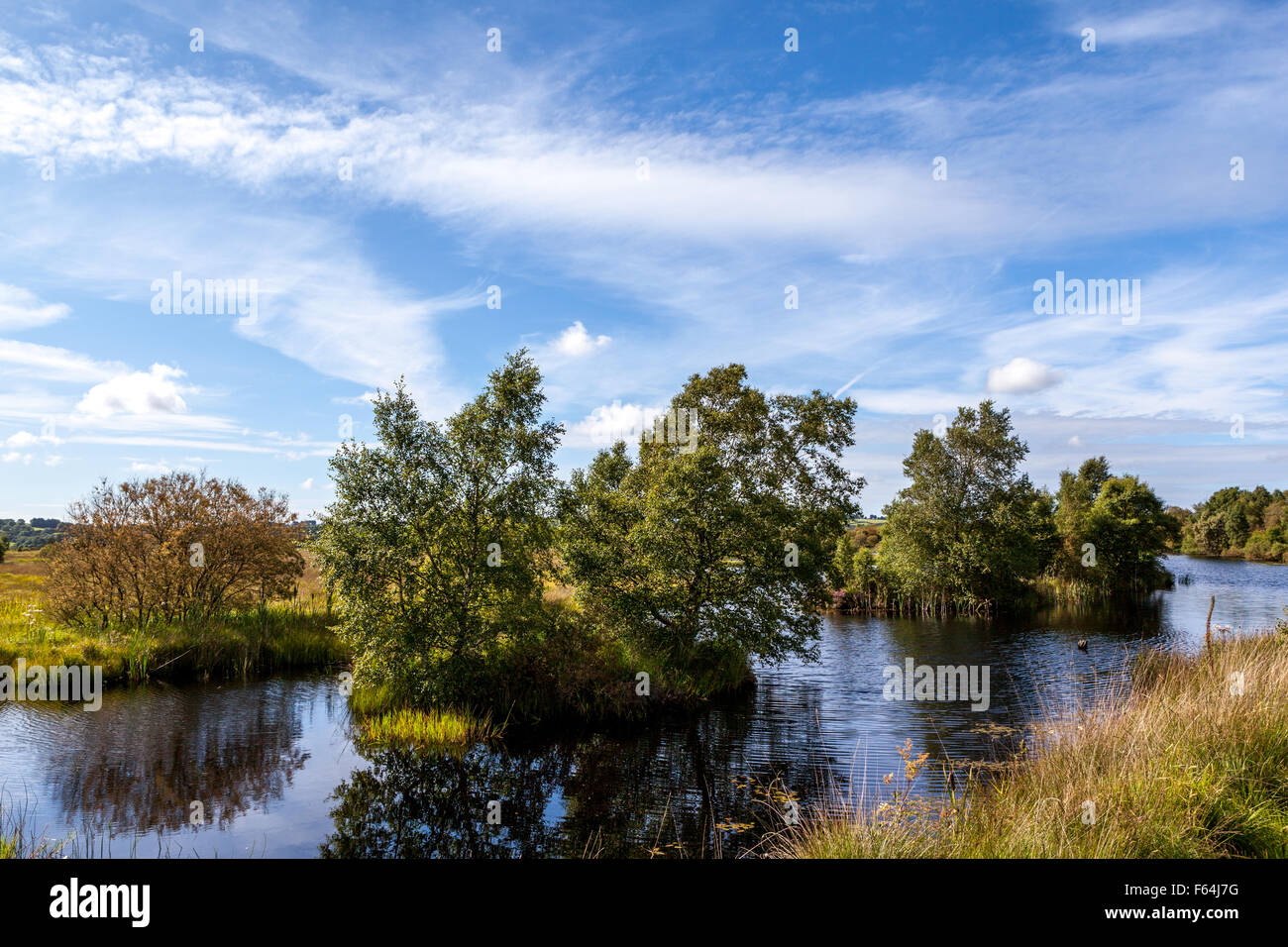 Cors Caron Nature reserve near Tregaron ceredigion Wales UK Stock Photo ...
