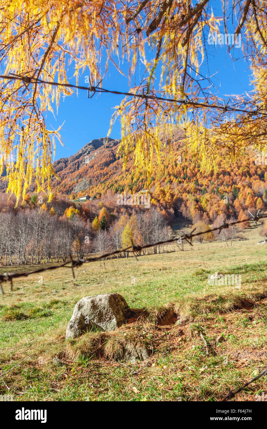 Isolated stone and an autumnal panorama in the italian Alps behind a ...