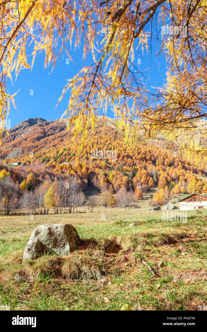 Isolated stone and an autumnal panorama in the italian Alps behind a ...