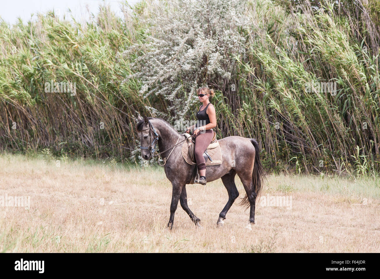 Children,Horse riding lesson activity in countryside between Beziers ...
