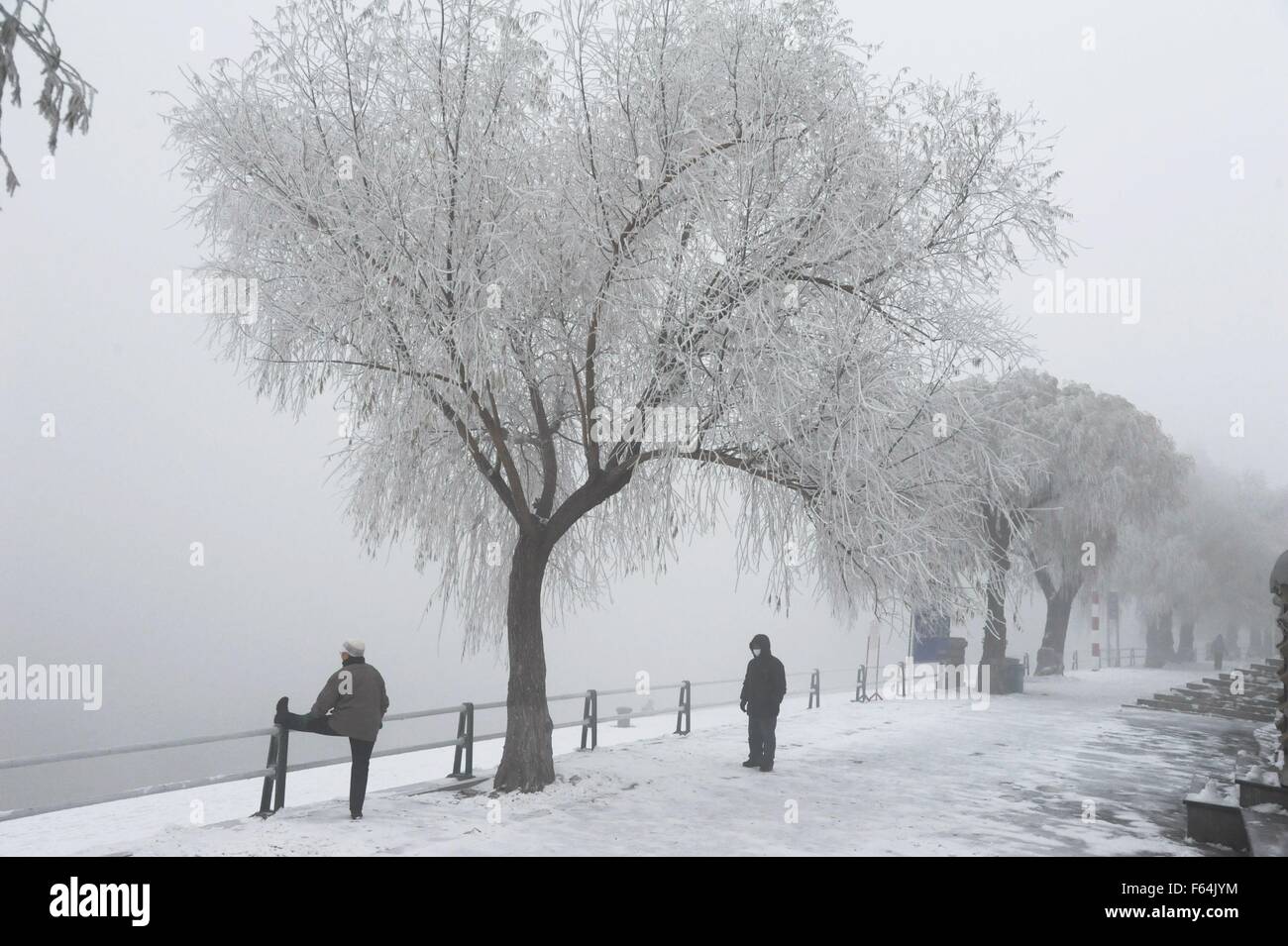 Harbin. 11th Nov, 2015. Photo taken on Nov. 11, 2015 shows the rime ...
