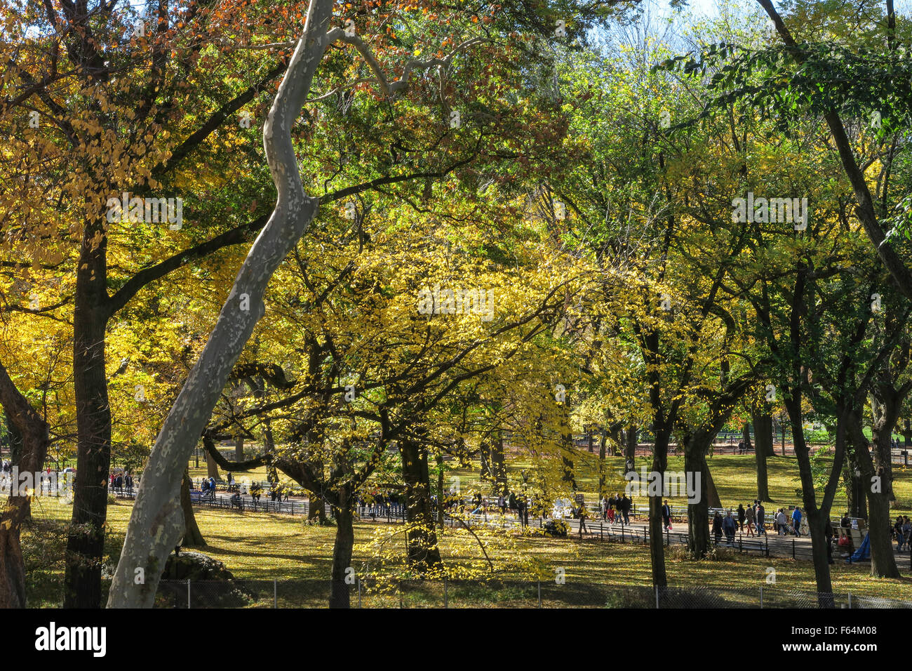 Central Park in the Fall, NYC, USA Stock Photo - Alamy