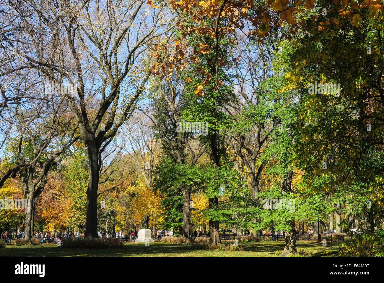Central Park in the Fall, NYC, USA Stock Photo - Alamy