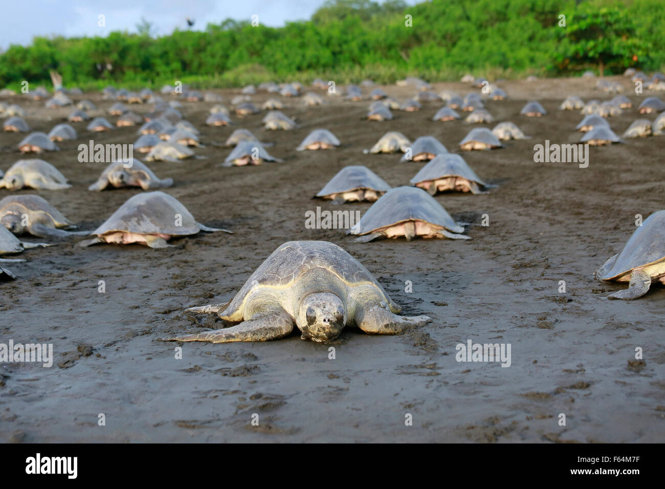 295km hi-res stock photography and images - Alamy