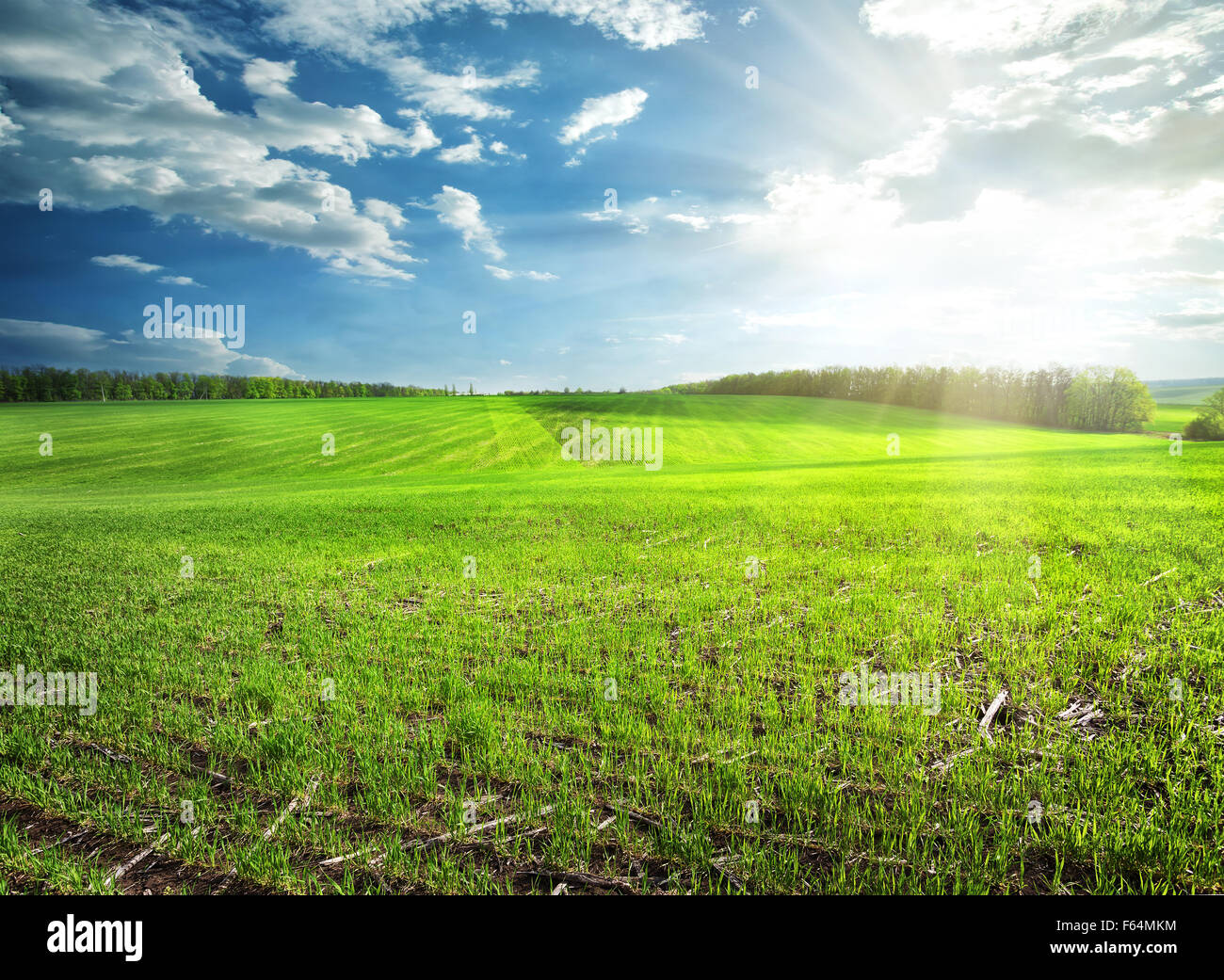 Bright landscapes hi-res stock photography and images - Alamy