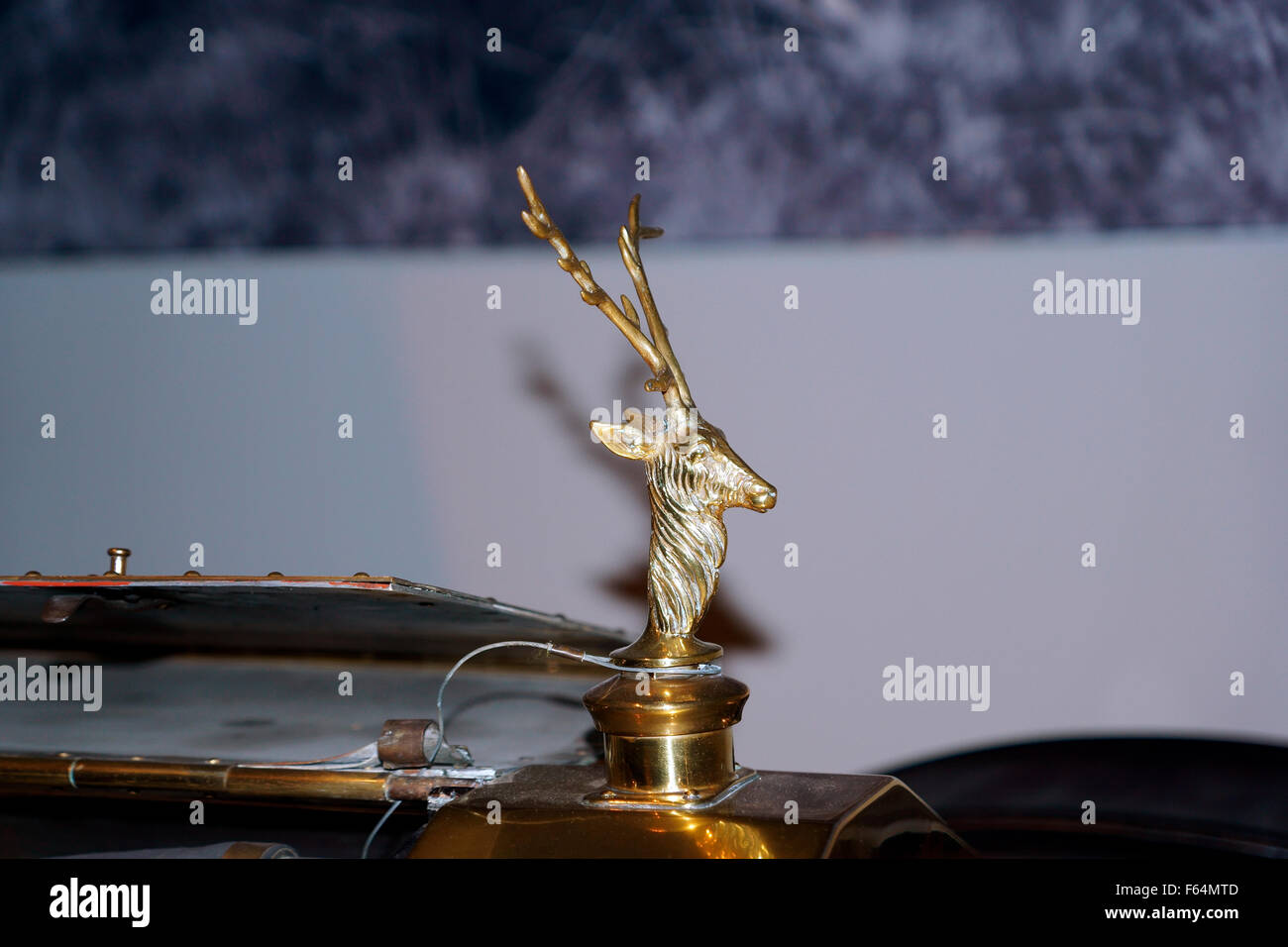 ROLLS ROYCE STAG'S HEAD RADIATOR (MASCOT) CAP. 1 YR LATER THE SPIRIT OF ...