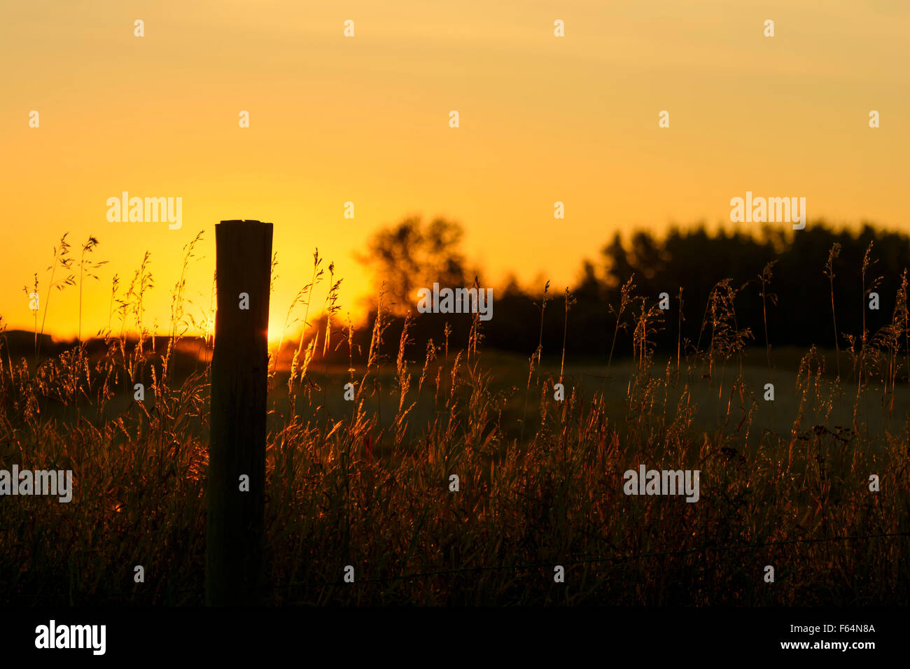 Orange post it hi-res stock photography and images - Alamy