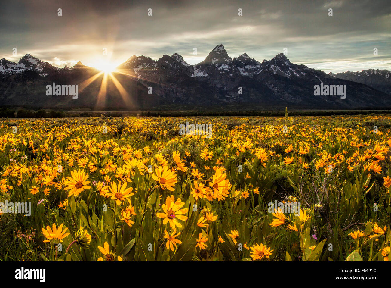 The art of the sun and the mountains hi-res stock photography and ...