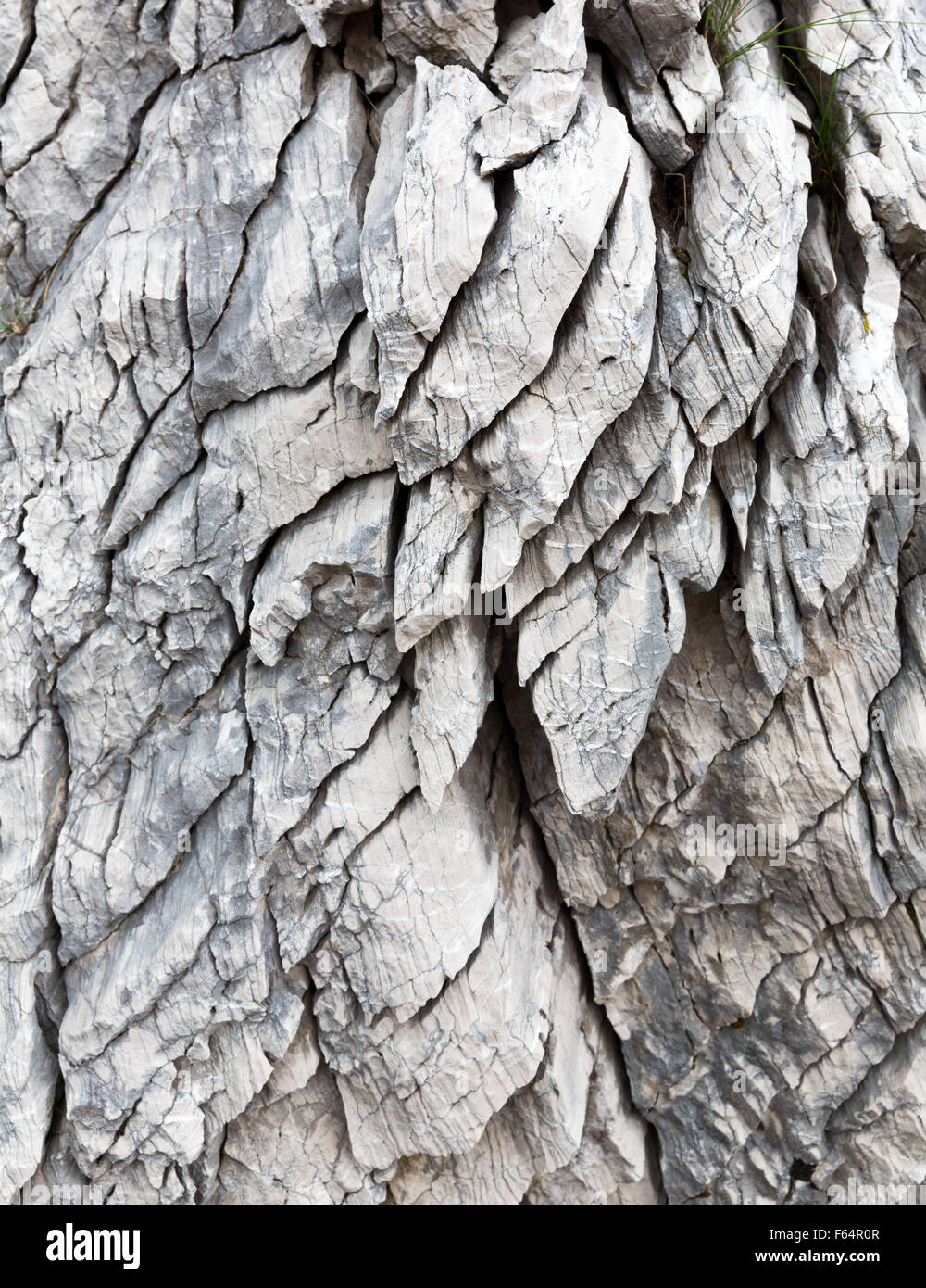 Gray rock texture background closeup Stock Photo - Alamy