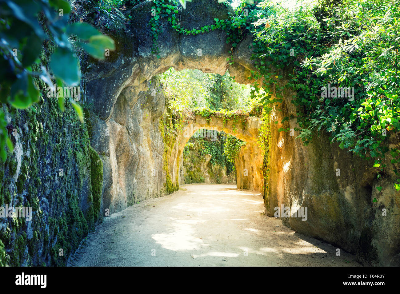 Beautiful path with mossy rocks in forest Stock Photo - Alamy