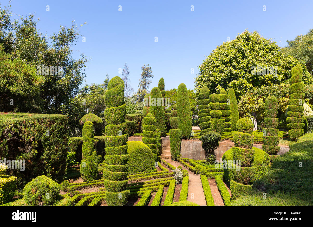 Beautiful decorative green bushes and trees in botanic garden, Portugal ...