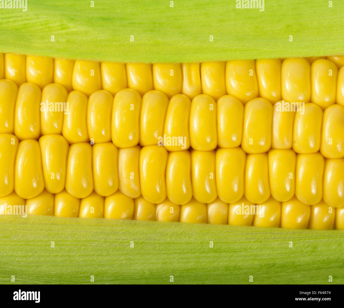 Ripe corn on the cob with green leaves Stock Photo - Alamy