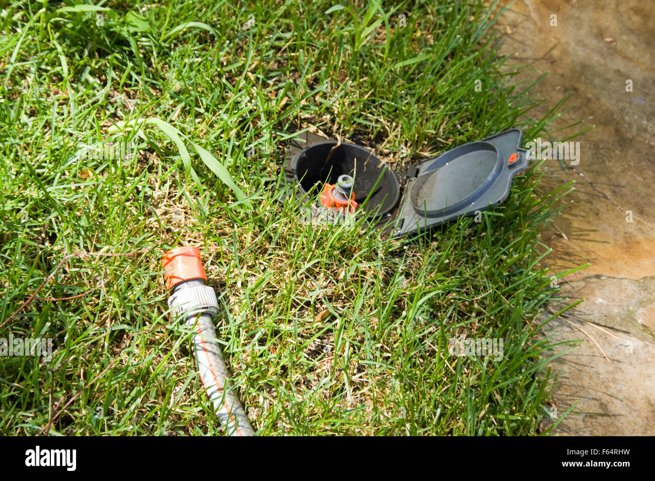 Irrigation sprinkler watering grass plug and socket Stock Photo - Alamy