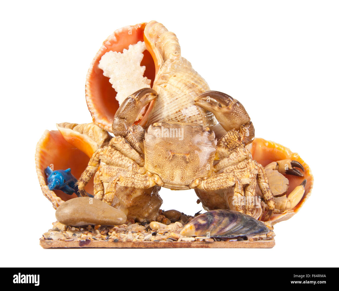 Coastal souvenir Cut Out Stock Images & Pictures - Alamy