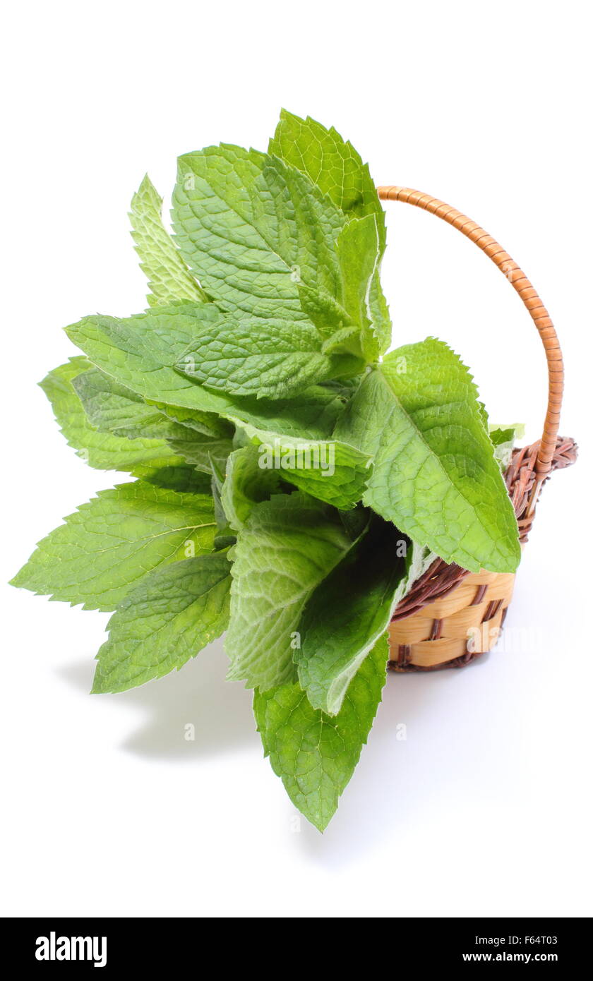 Bunch of fresh natural green mint in wicker basket isolated on white ...