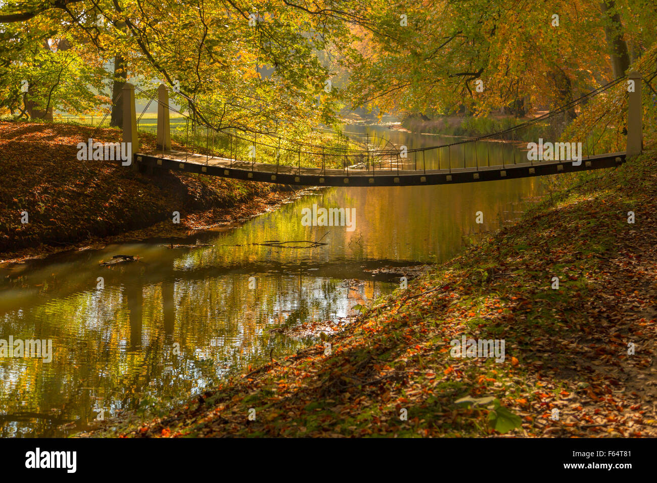Suspension bridge view in fall splendor at Elswout, a landscape park in ...