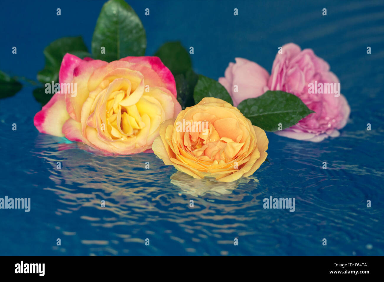 Bouquet of roses in a water Stock Photo - Alamy