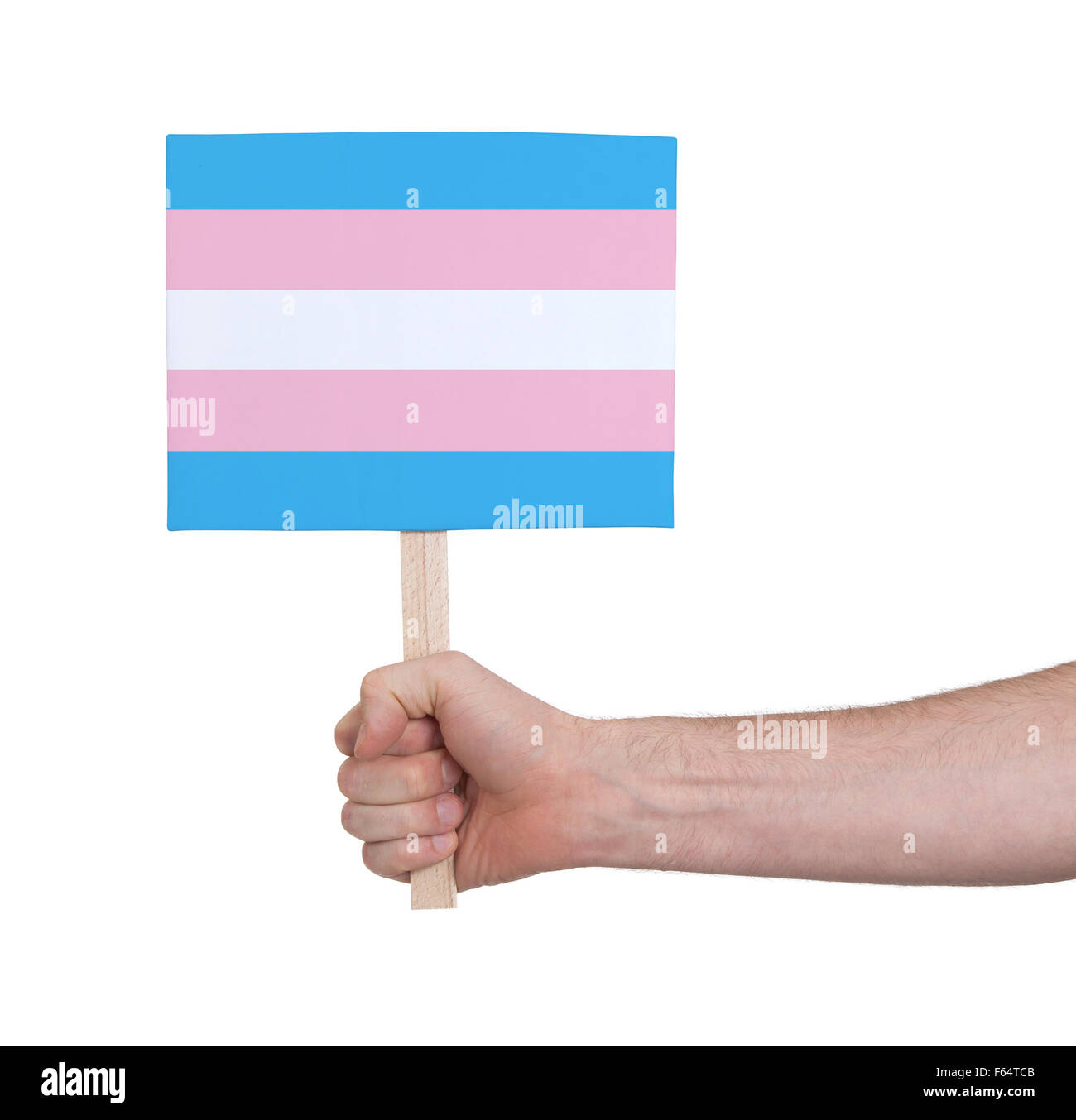 Hand holding small card, isolated on white - Flag of Trans Pride Stock ...